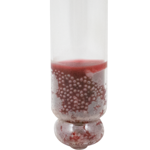 Triple Scale Hydrometer-Specific Gravity-Potential Alcohol-Brix - Delta ...